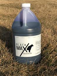 Shampoo Black Max – Final Drive Show Supply